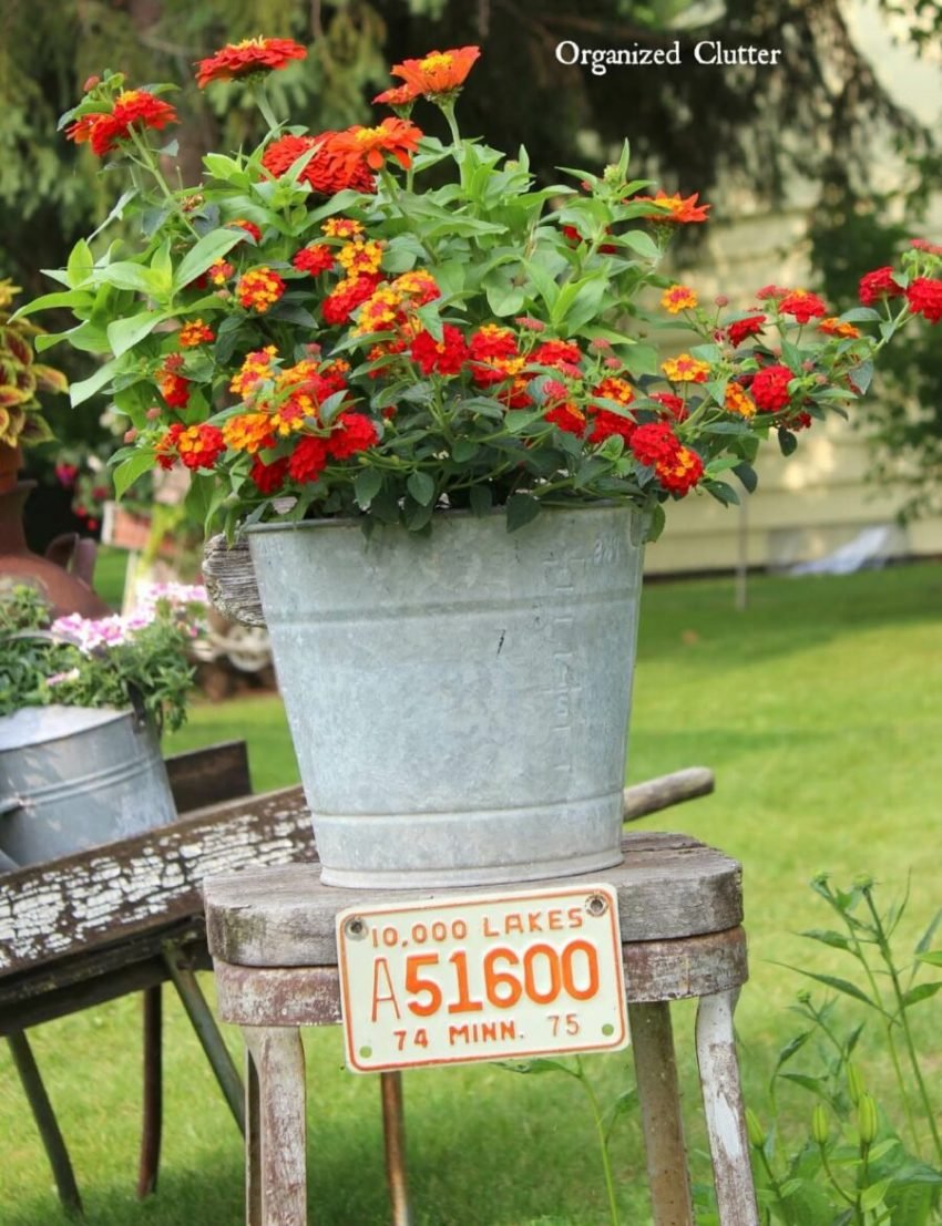 20 Cute Flower Pot Ideas To Make Your Garden Wonderful - Harp Times